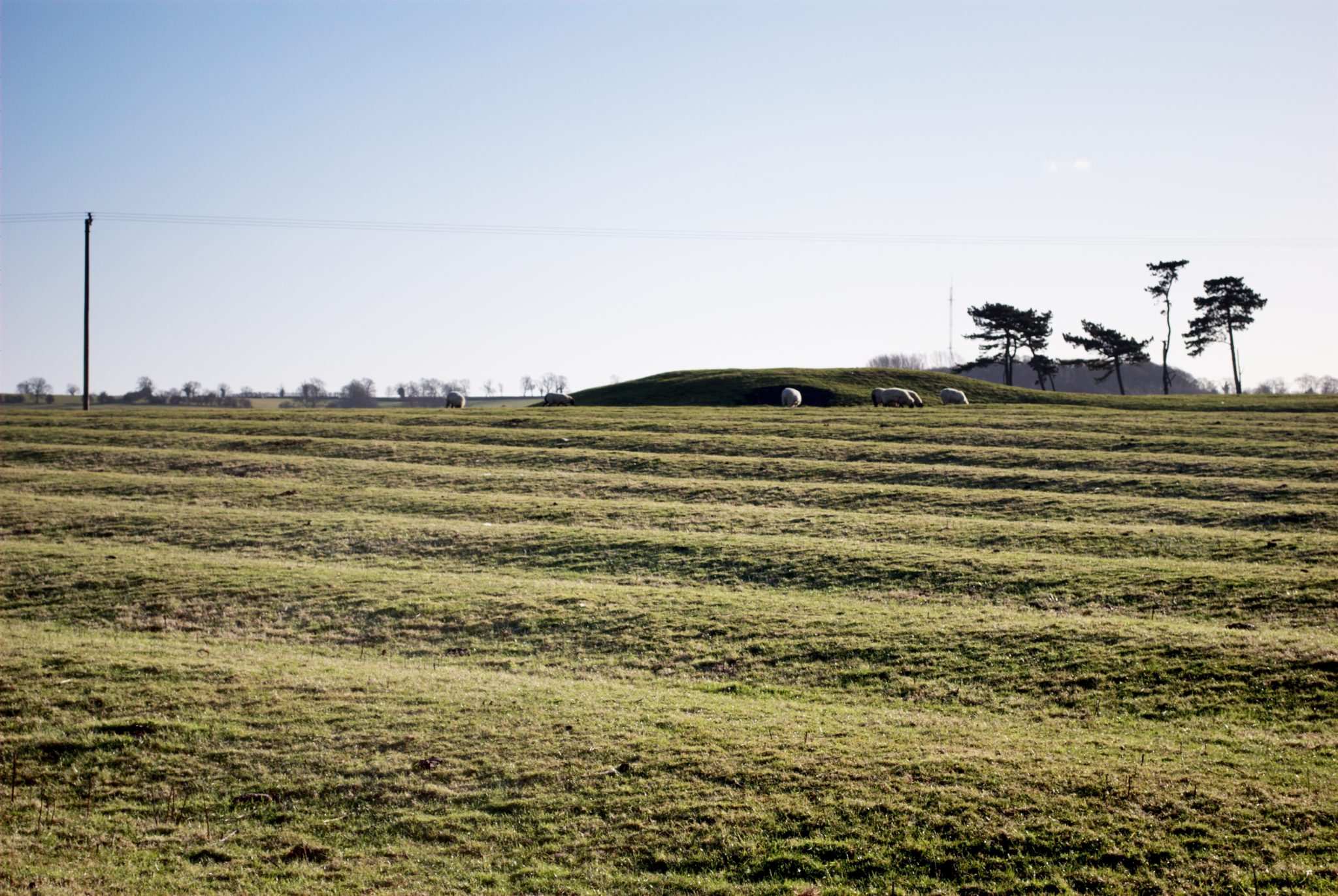 The Open-fields of England | Tha Engliscan Gesithas